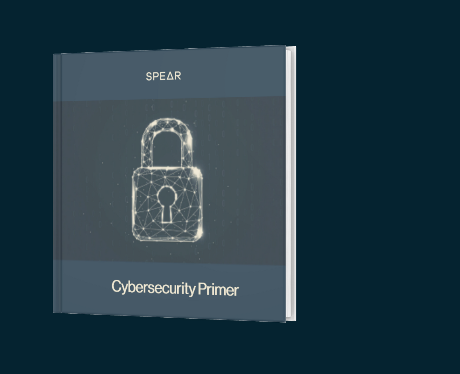 Cybersecurity Primer